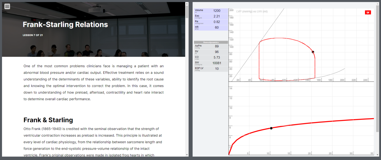 Harvi-Student – Harvi Academy