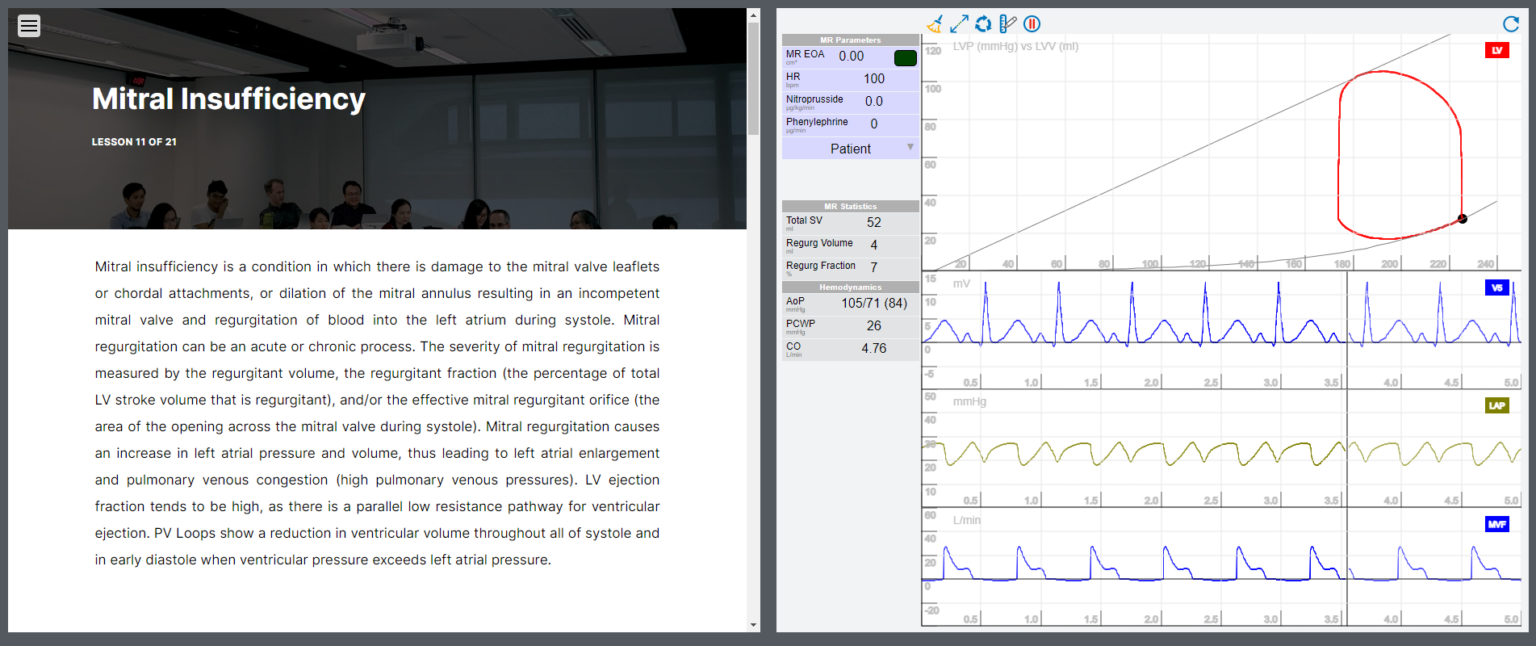 Harvi-Student – Harvi Academy
