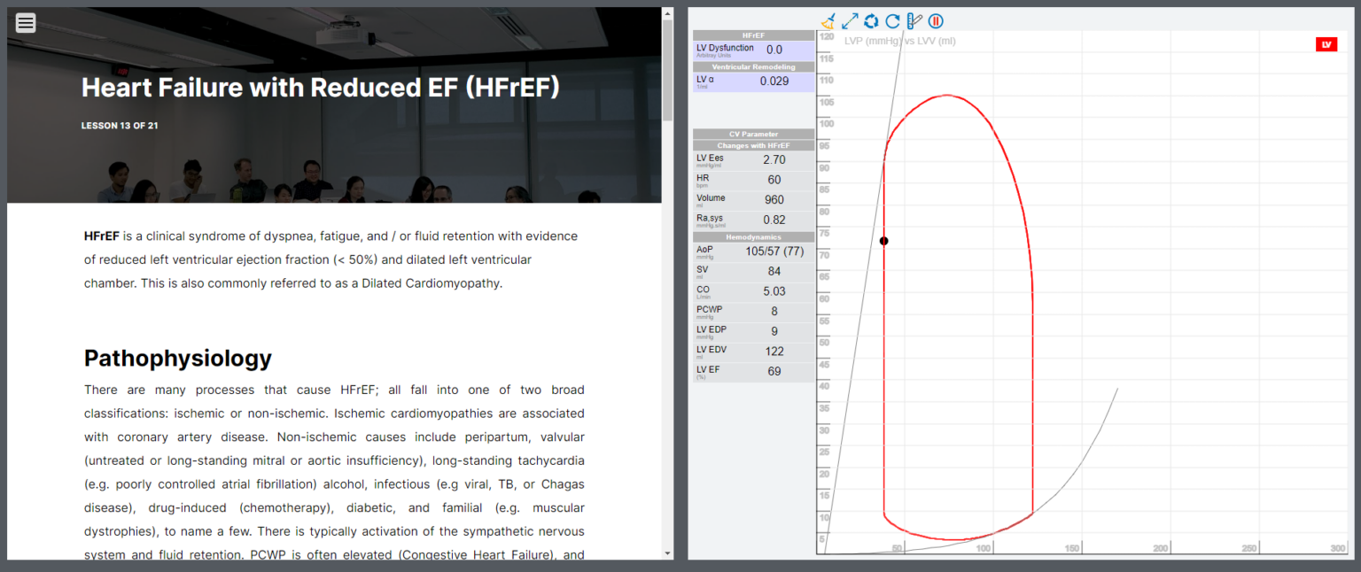 Harvi-Student – Harvi Academy