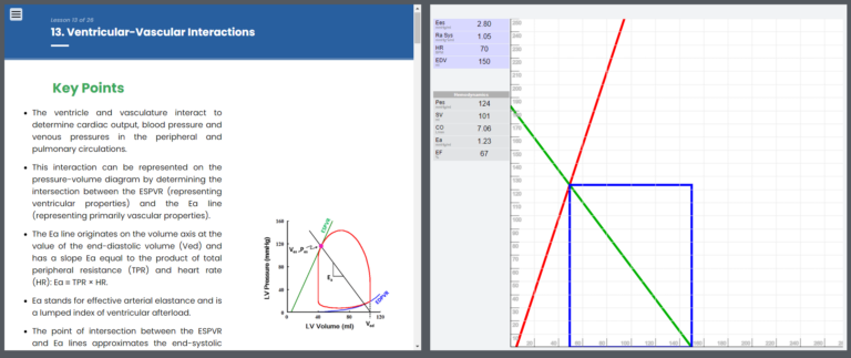 Harvi-Advanced Physiology – Harvi Academy